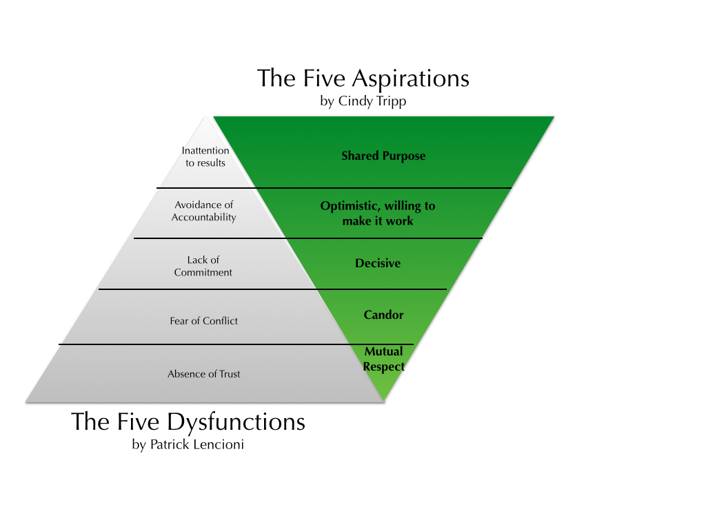 The Five Aspirations | Cindy Tripp